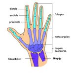 Carpale tunnel syndroom